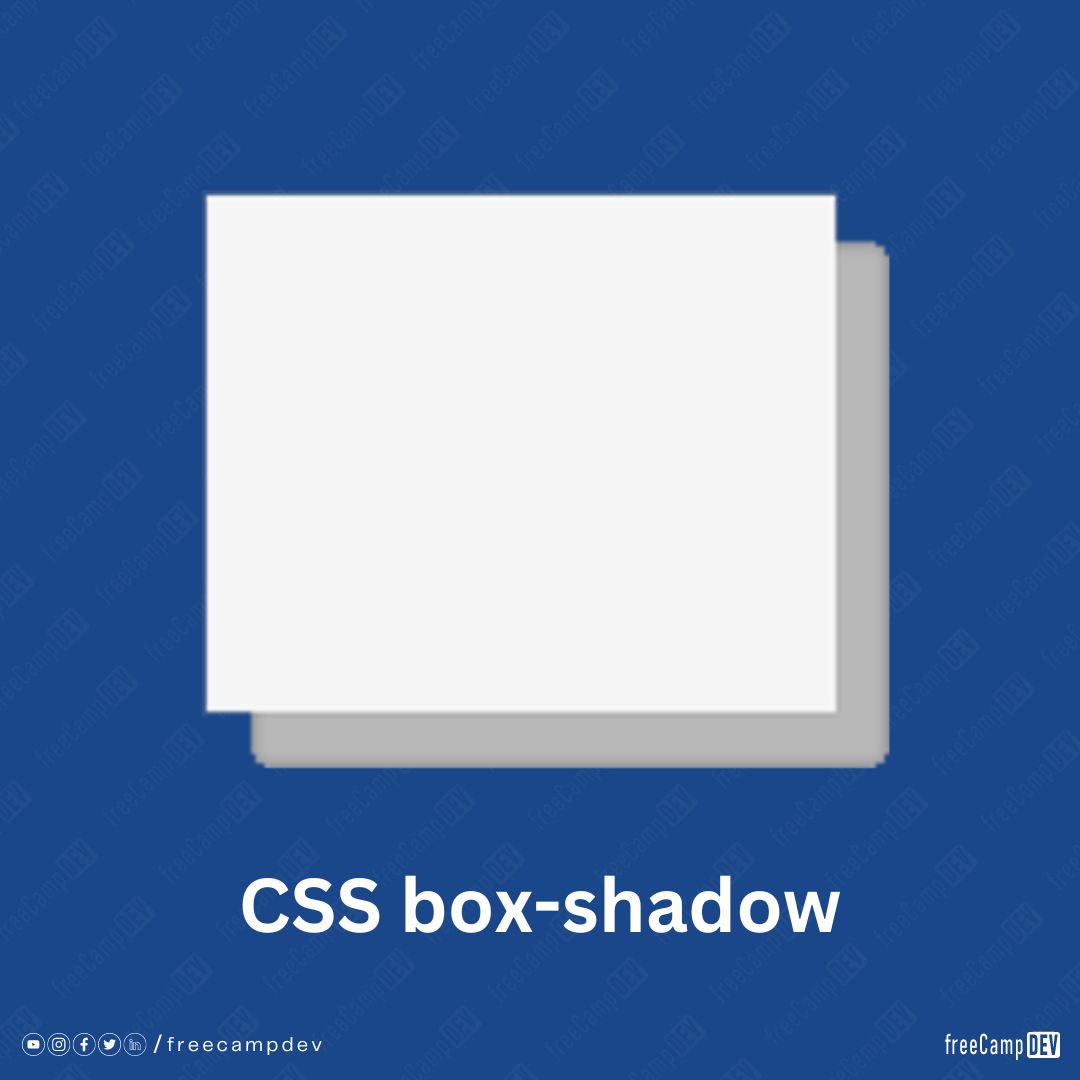 CSS Box shadow FreeCamp DEV