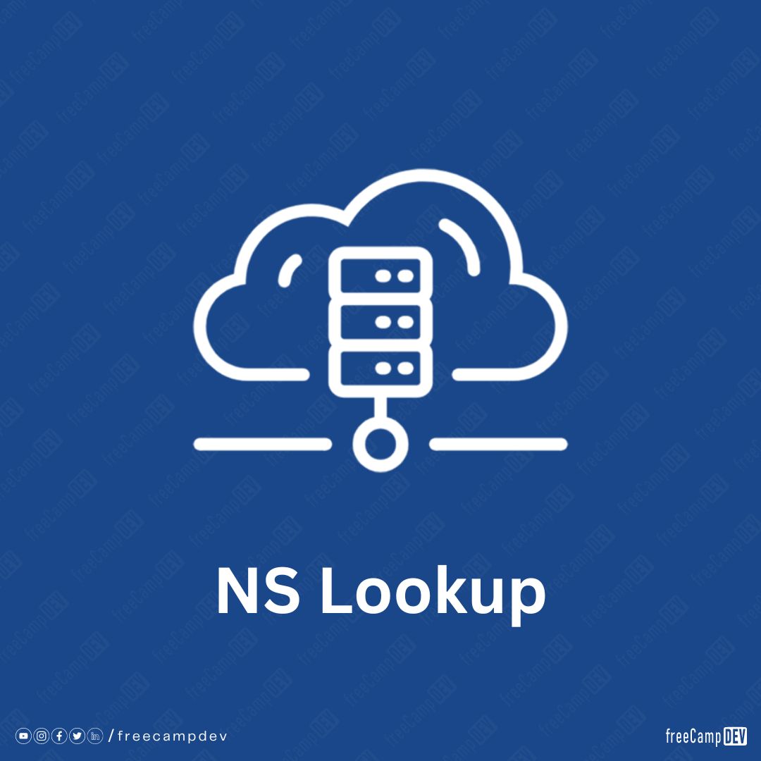 NS Lookup - FreeCamp DEV